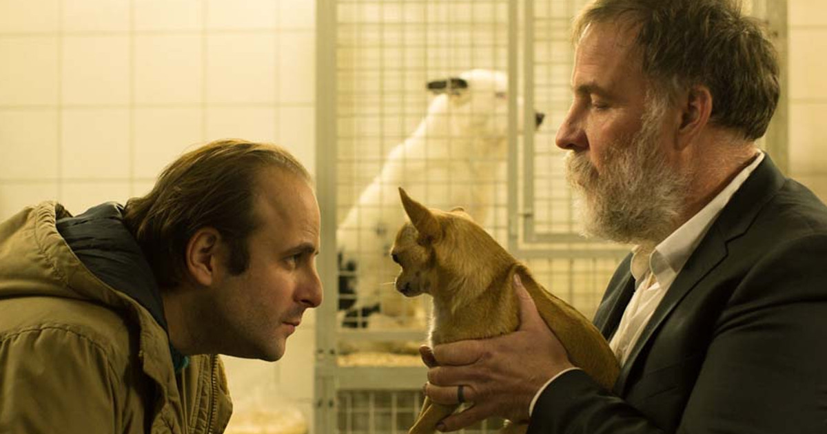 Dog – Recensione – TOHorror Film Fest | Cinema Errante